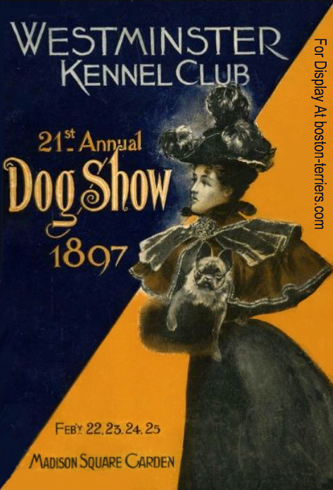 Westminster Best of Breed Boston Terriers 1927 to present - Boston ...